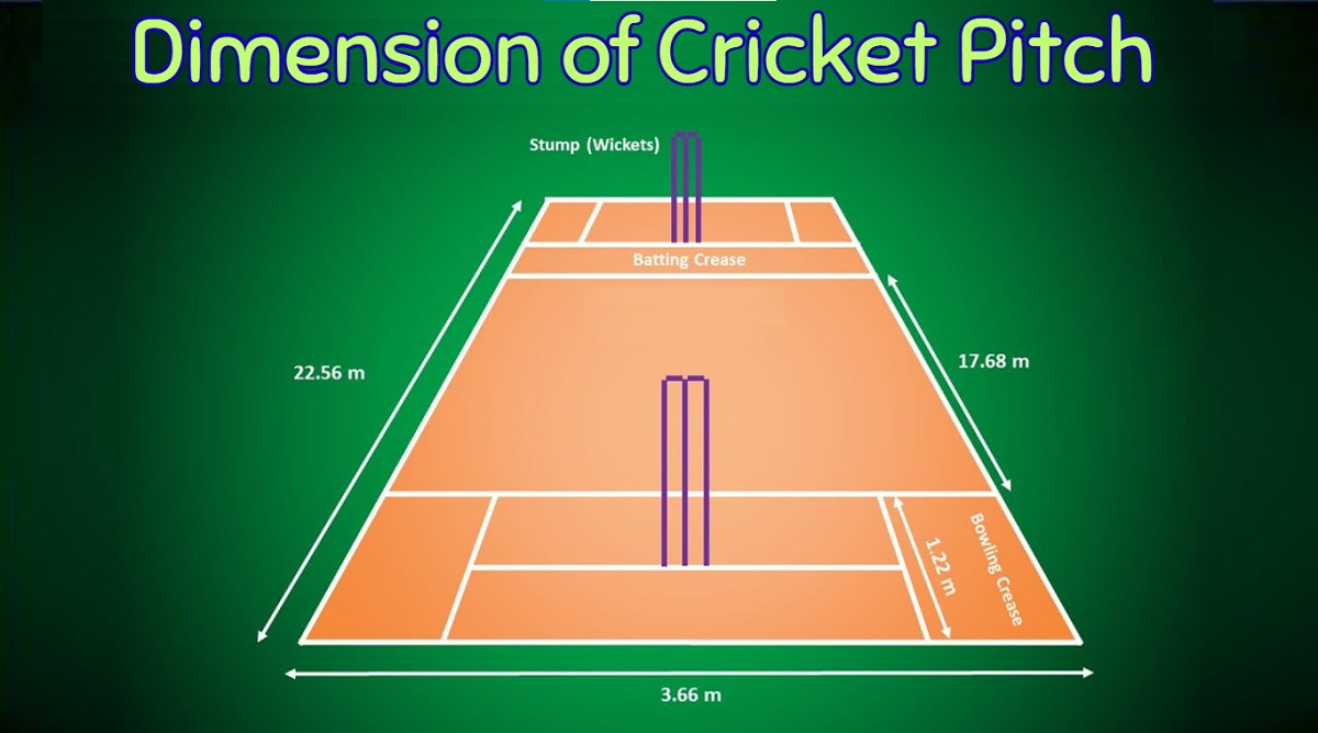 Dimension of Cricket Pitch: Length, Width & ICC Rules1